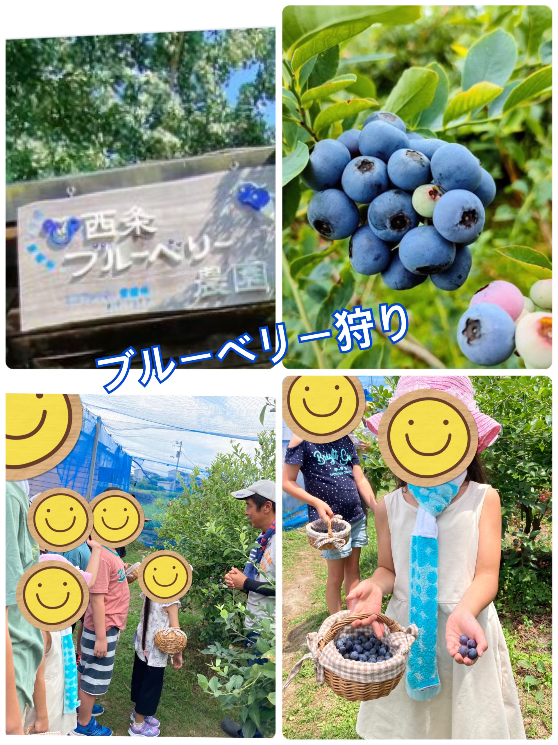 ブルーベリー狩り体験！ | 放課後等デイサービスKiiiT【キート】